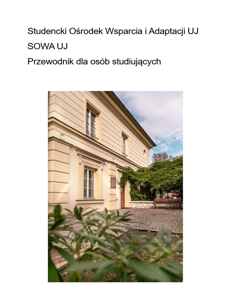 Sowa Przedprzewodnik | PDF