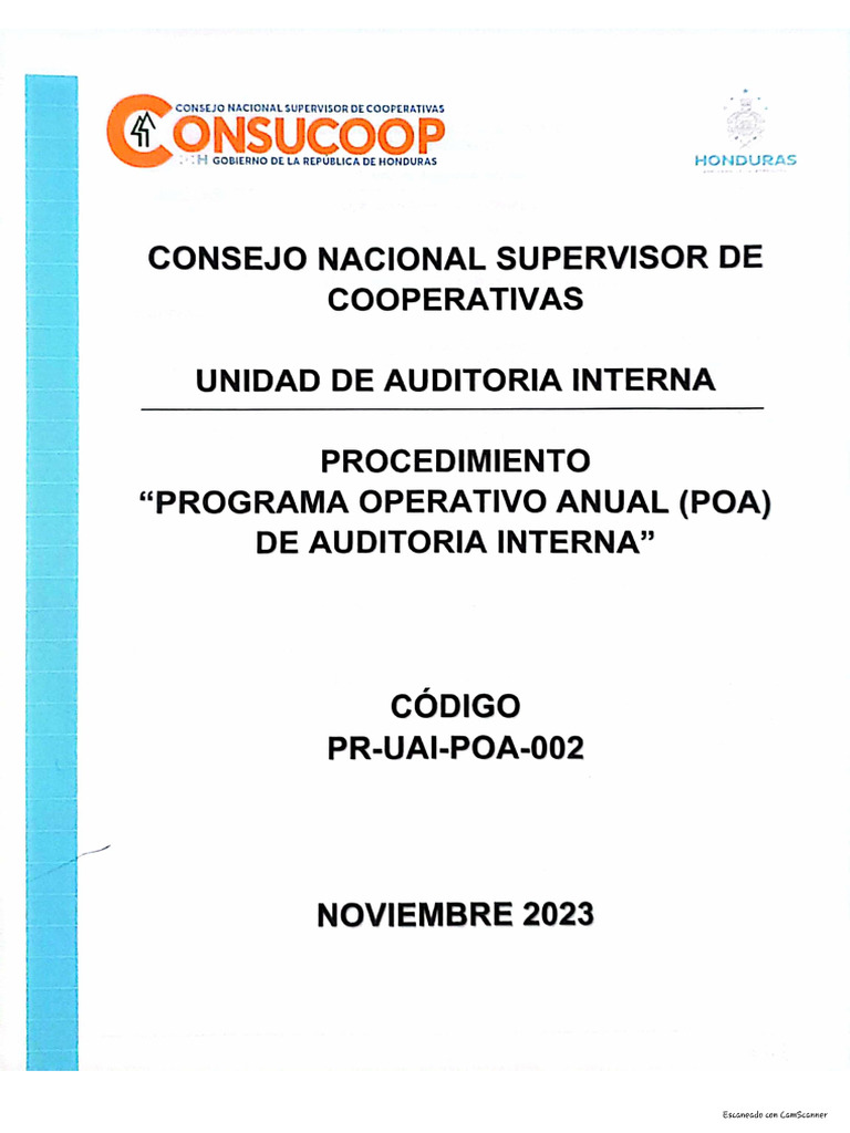 Procedimiento Programa Operativo Anual - UAI | PDF