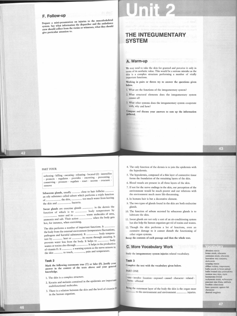 RM Lesson 10 Integumentary System | PDF