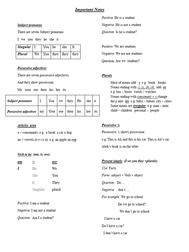 Important Notes | PDF | Plural | Grammatical Number