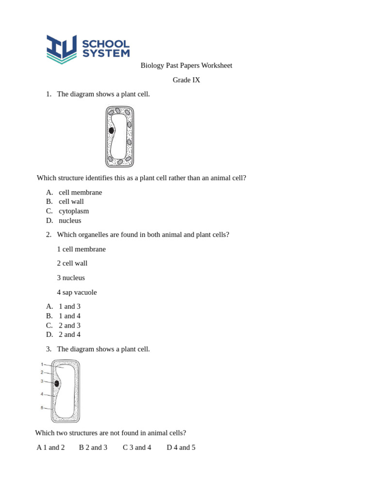 Grade IX Biology Past Papers Worksheet | PDF | Cell (Biology) | Enzyme