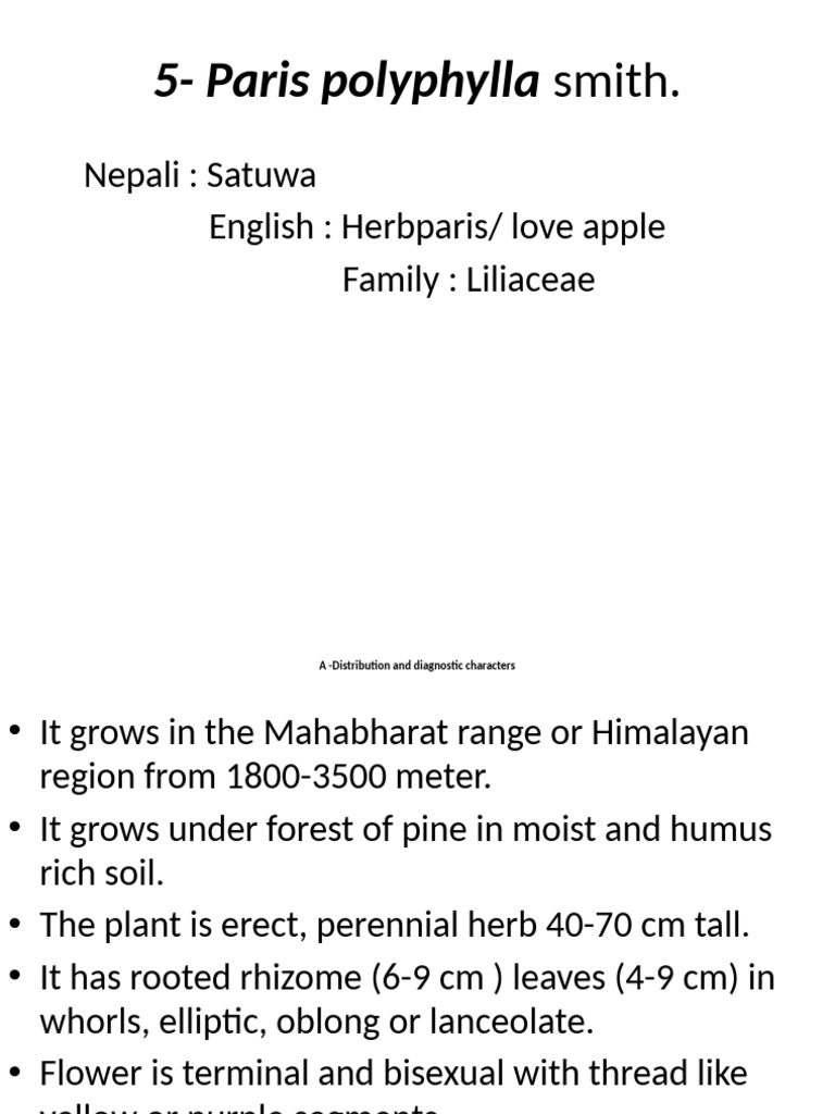 5 - Paris Polyphylla Smith | PDF | Botany | Plants