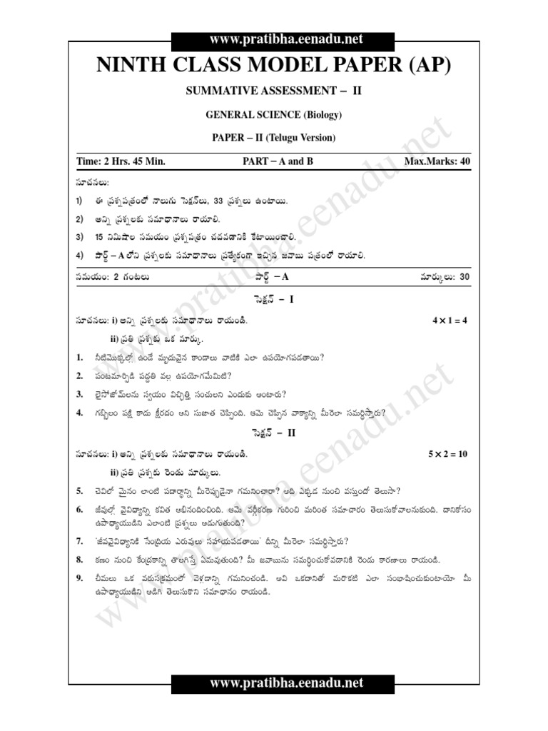 11 AP Sa2 Ix Bs TM Paper1 | PDF