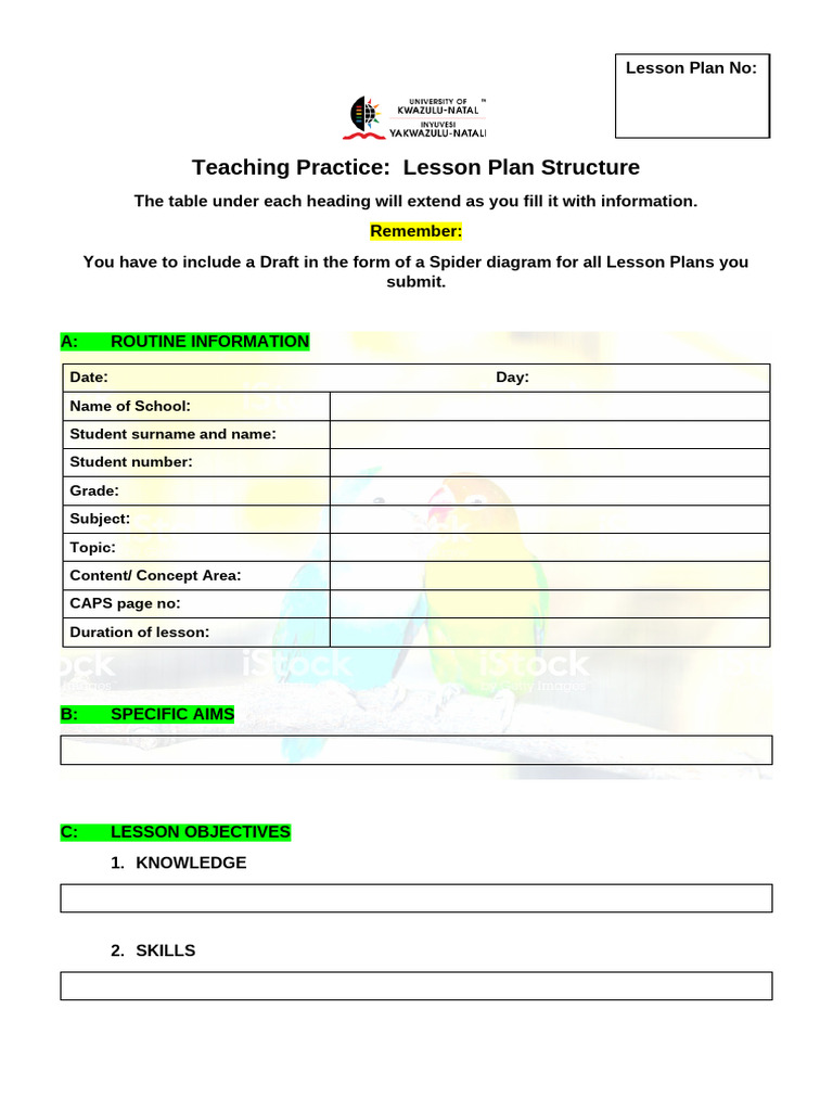 Lesson Plan Template 3 English Full Lesson Plan 1 | PDF