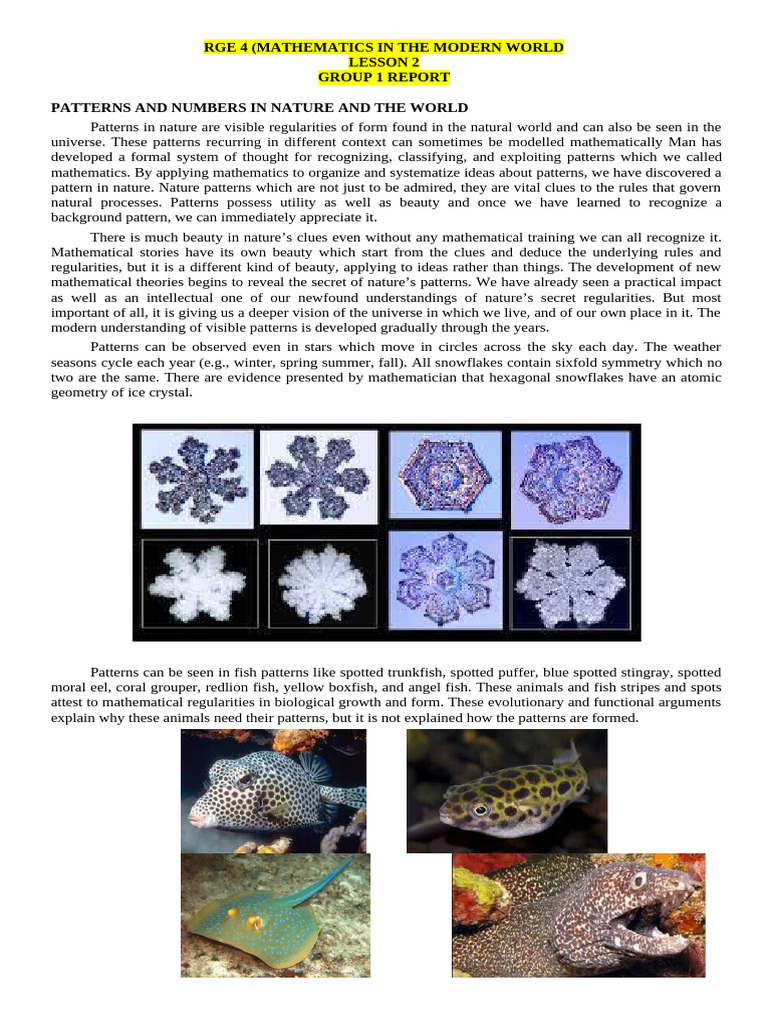 GROUP1_REPORT | PDF | Dune | Pattern