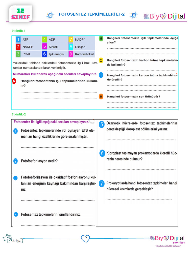 Fotosentez Et-2 | PDF