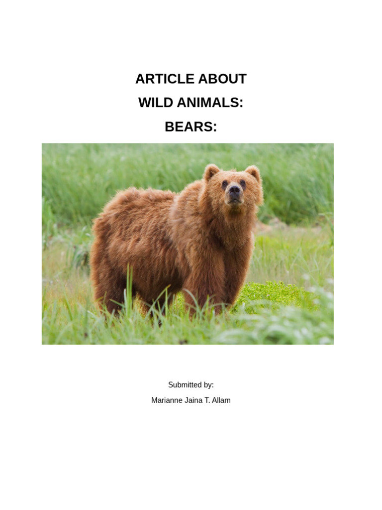 Article About Bears | PDF | Bears | Zoology