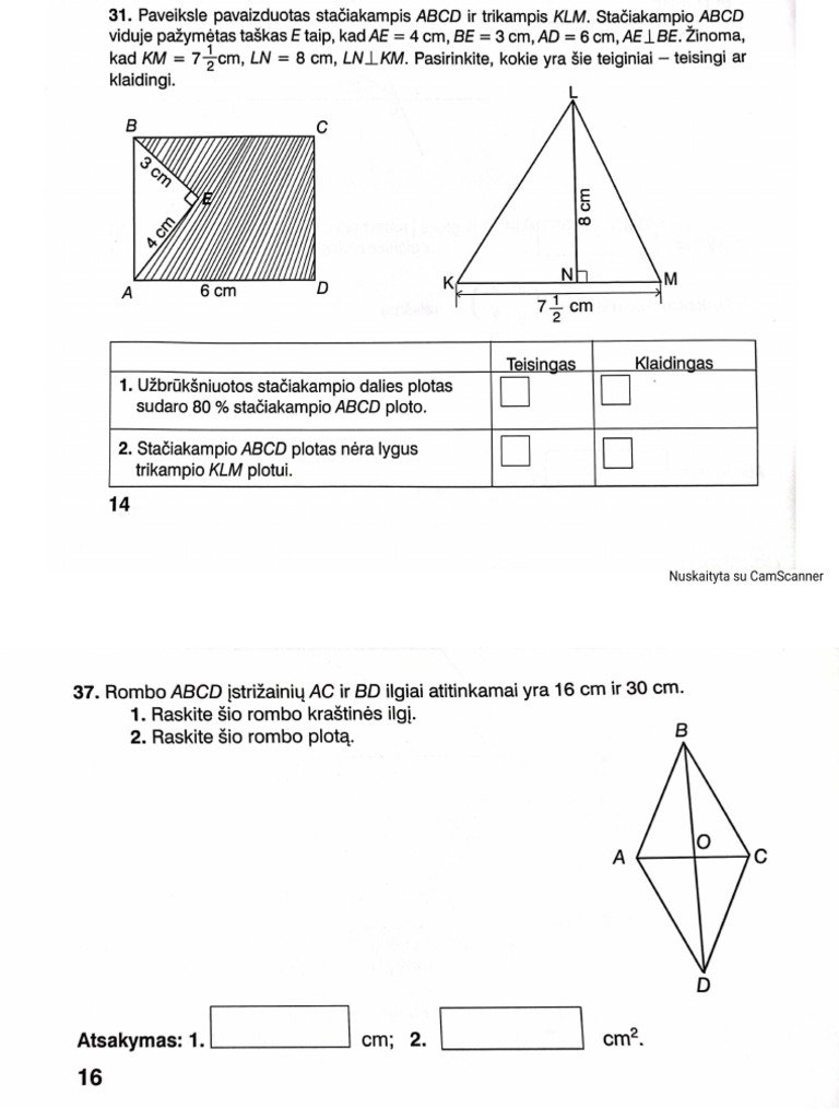 8kl. Pitagoro Teorema | PDF