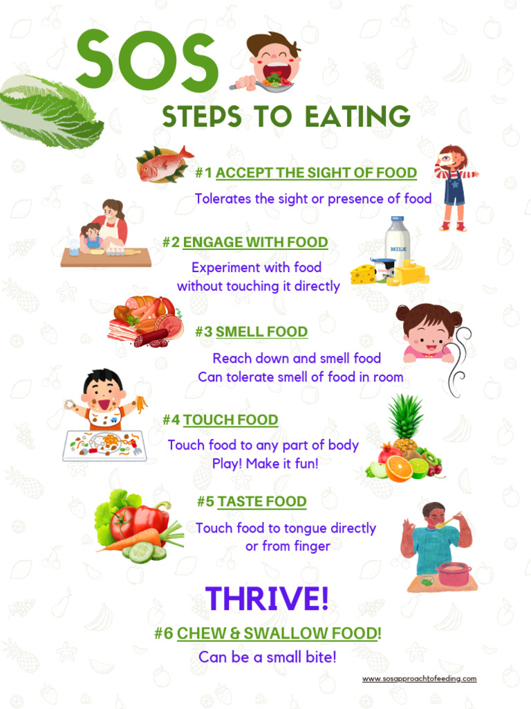 SOS Steps To Eating Info Packet Final | PDF | Foods | Meal