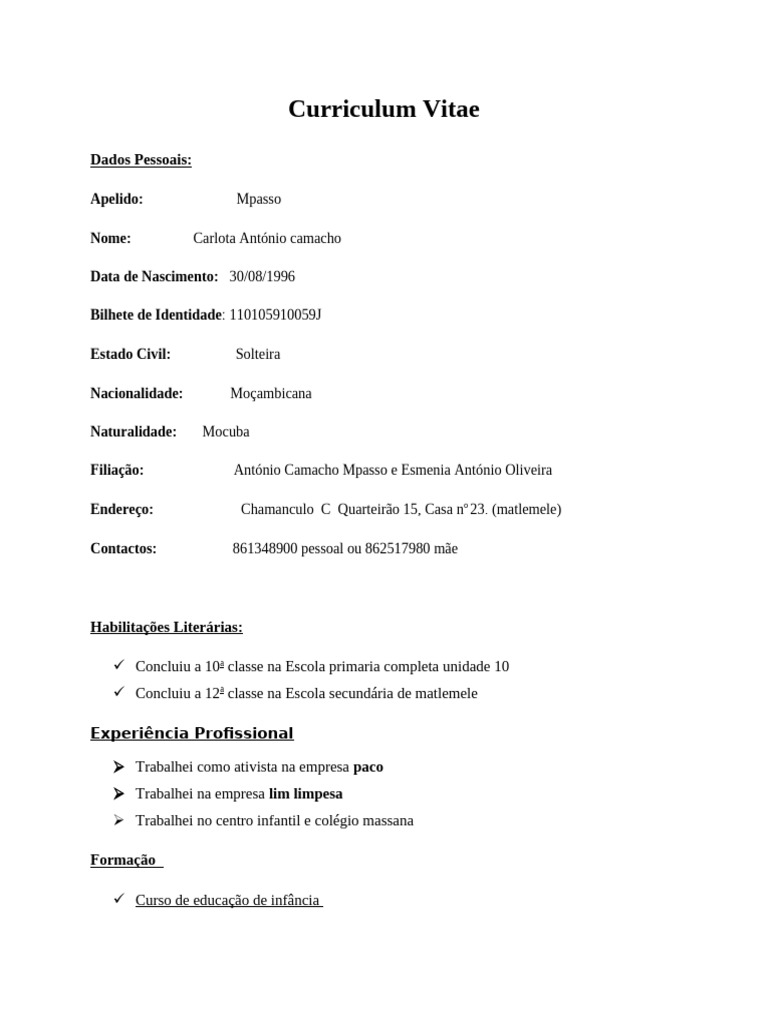 Curriculum Vitae 2024 | PDF