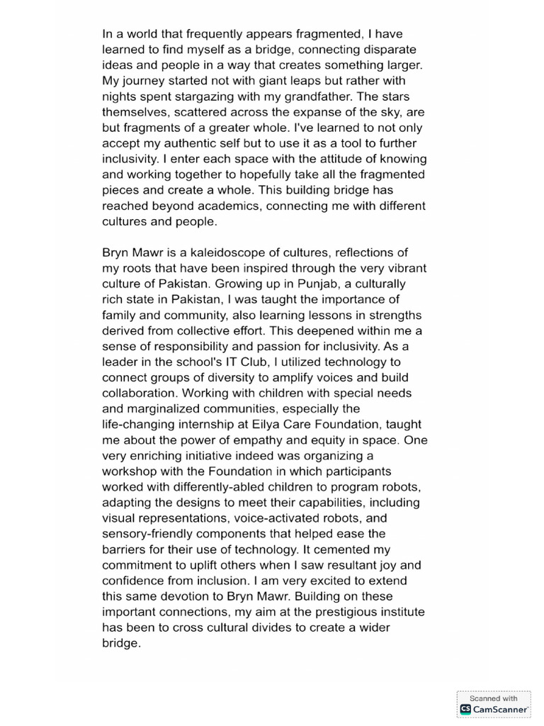 Supplemental Essay BM | PDF