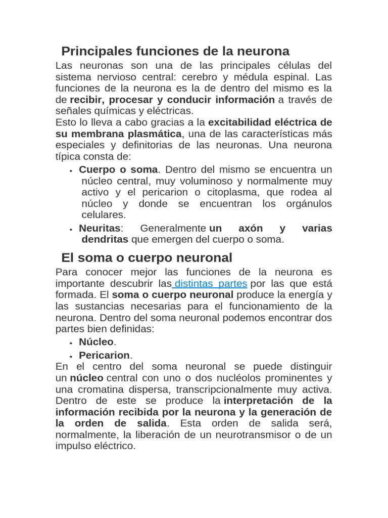Funciones de Las Neuronas | PDF | Axon | Neurona