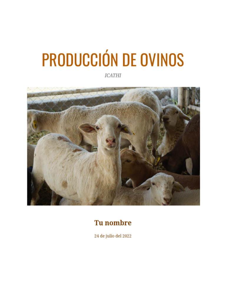 Producción y Manejo de Ovinos | PDF | Oveja | Carne