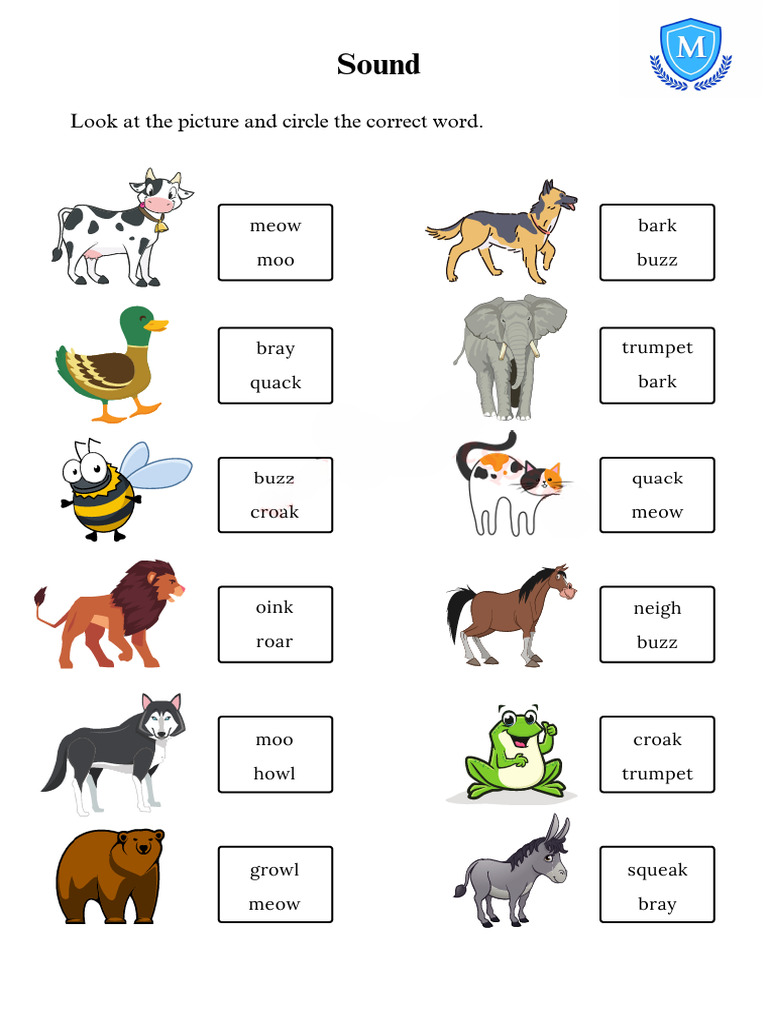 Musical Instruments and Sound Activities | PDF