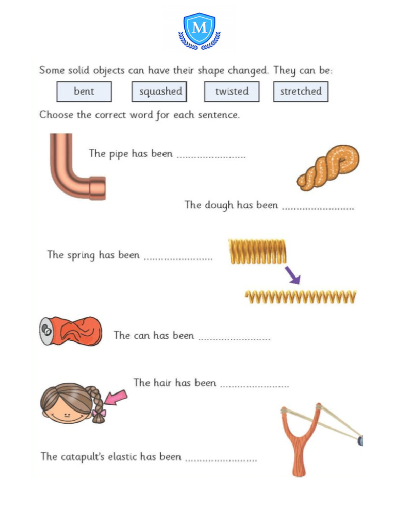 Year-2 Science Worksheet | PDF