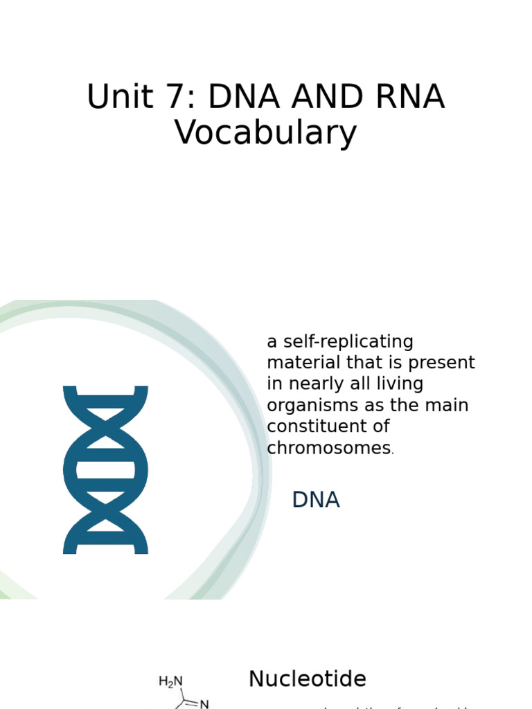 Unit 7 DNA and RNA Vocabulary | PDF