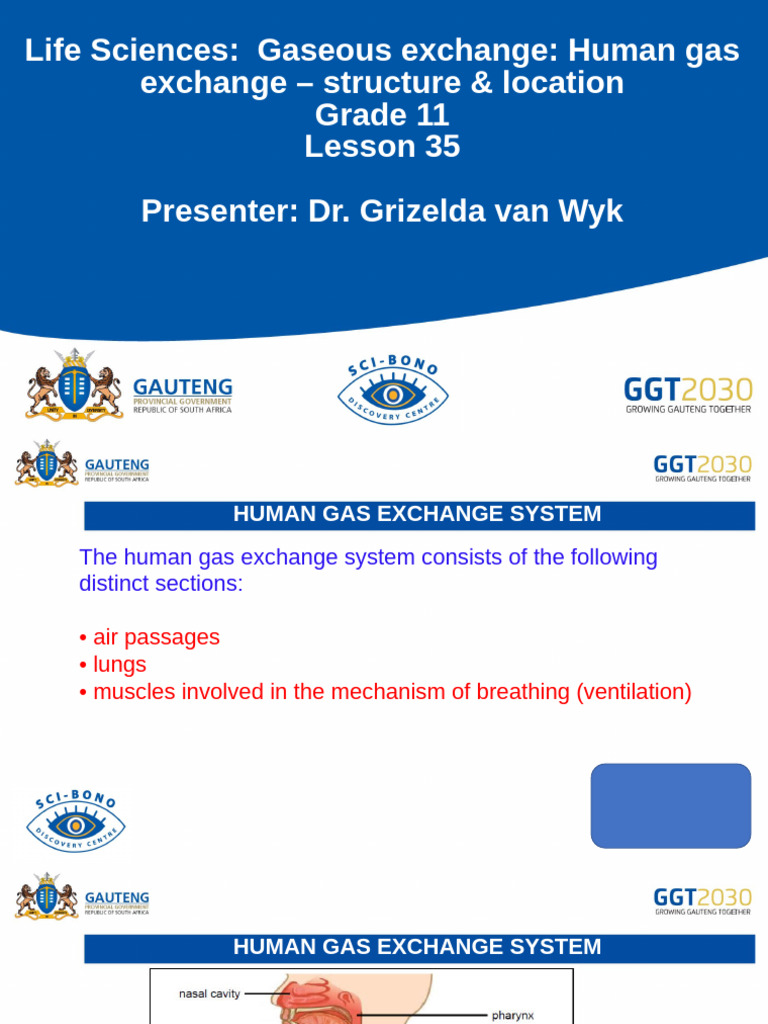 Life Sciences Gr.11 Lesson 35 Gaseous Exchange (Human Gas Exchange ...