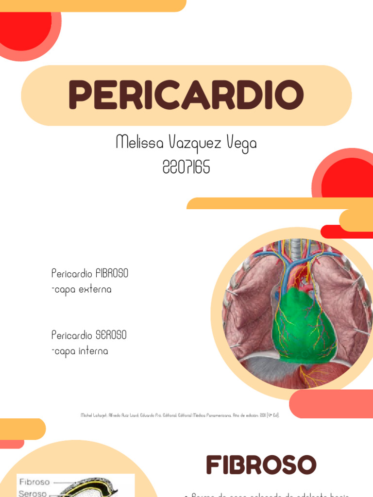 PERICARDIO | PDF | Tórax (anatomía humana) | Angiología