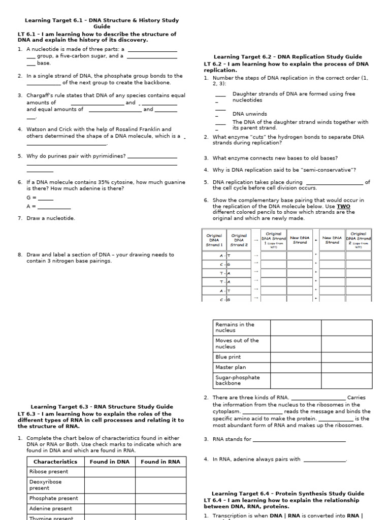 Protein Synthesis Study Guide-2-1 | PDF | Rna | Dna