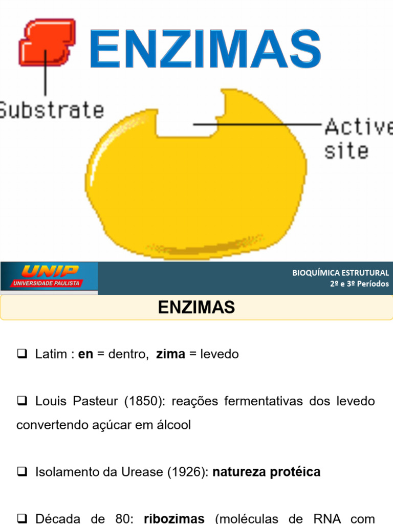 Aula - 04 - Enzimas - Cinética Enzimática | PDF | Enzima | Inibidor de enzimas