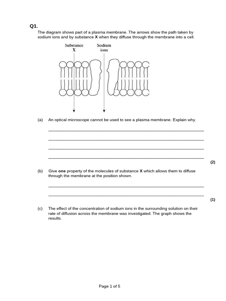 Diffusion Exam Questions | PDF | Cell Membrane | Cell (Biology)