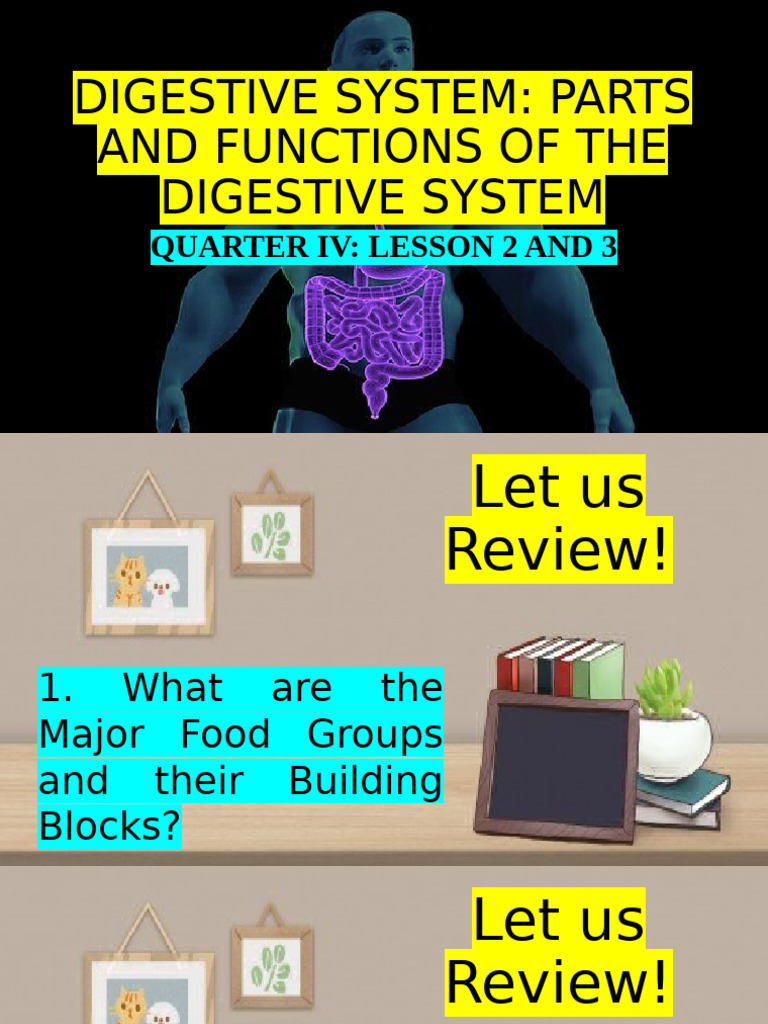 Lesson 2 and 3 - Digestive System - Parts and Fuction | PDF | Human ...