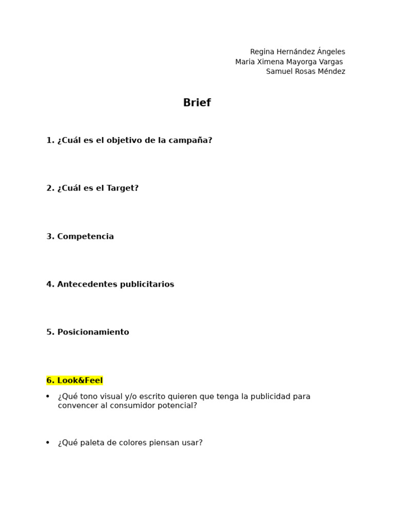 Formato Brief para Llenar | PDF