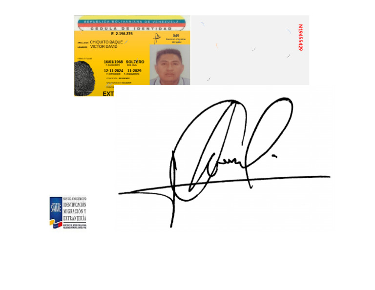 Documento de Identidad de Víctor Chiquito | PDF