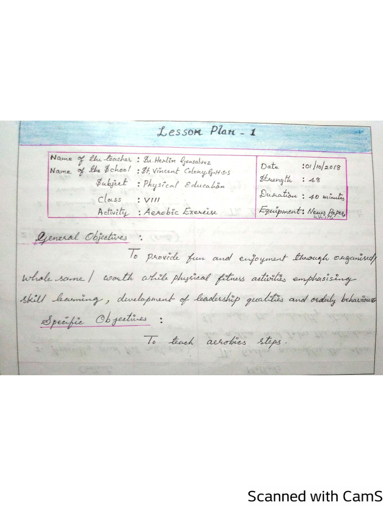 Lesson Plan Activity 5 Pages | PDF