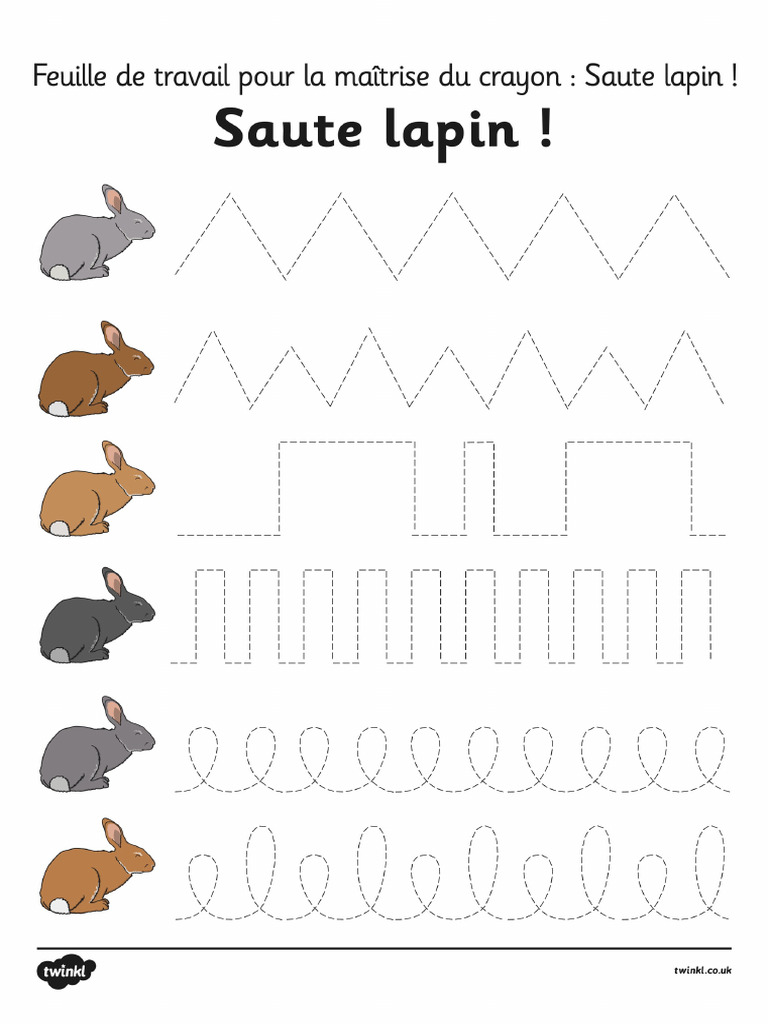Suivre Lignes Lapin | PDF