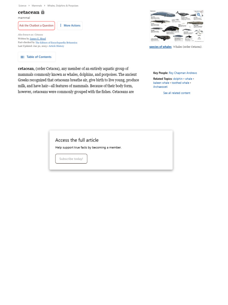 Cetacean _ Life Span, Evolution, & Characteristics _ Britannica | PDF