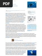 Whales | PDF