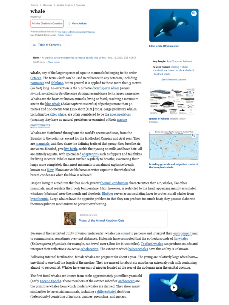 Whale - Definition, Types, & Facts - Britannica | PDF | Whales | Cetacea