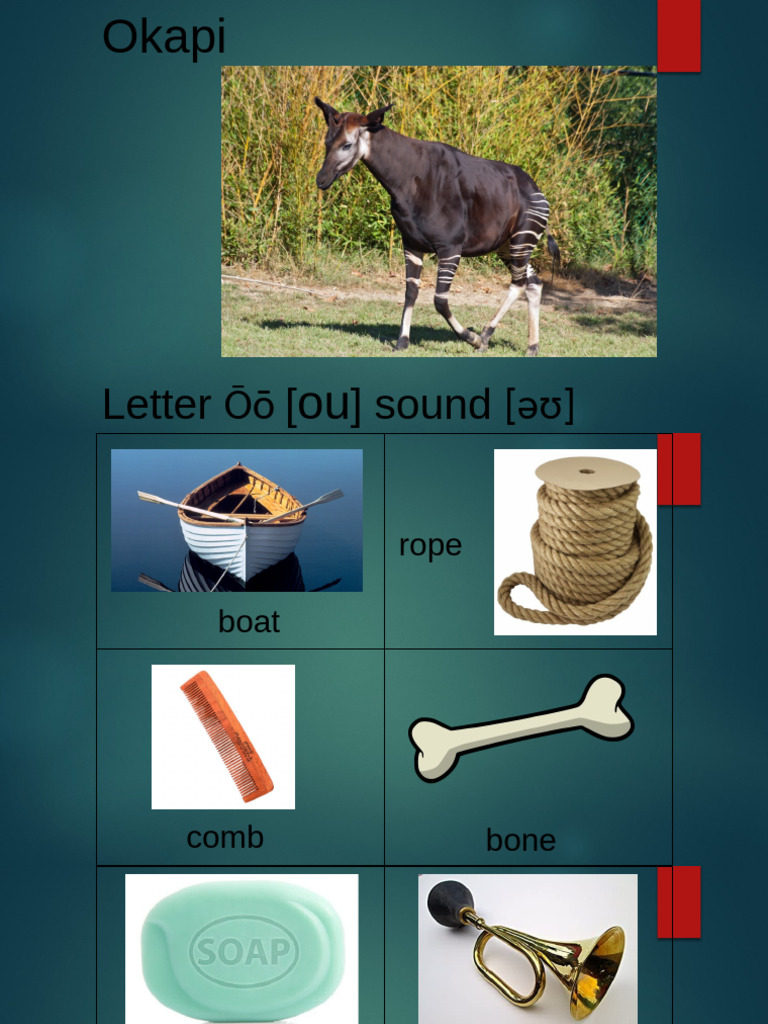 What's Missing ''O'' - Okapi | PDF