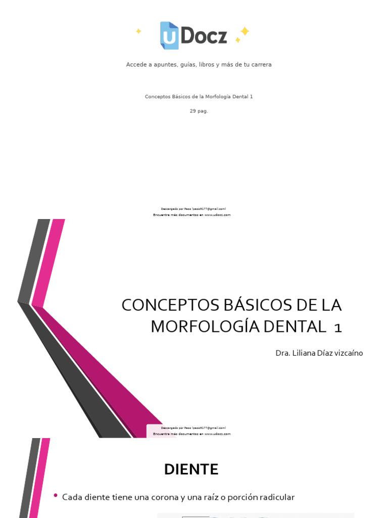 Conceptos Basicos de 249728 Downloadable 4458216 | PDF | Dentina ...
