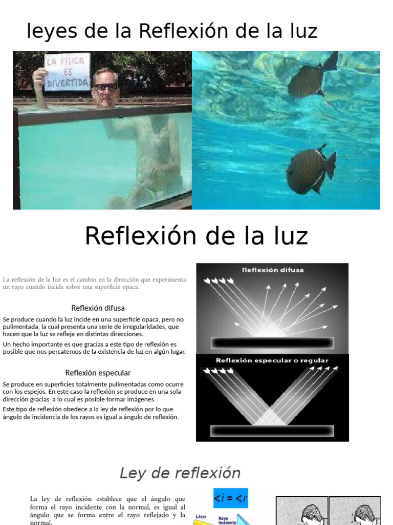 Leyes de la Reflexión de la Luz | PDF | Reflexión (Física) | Espejo