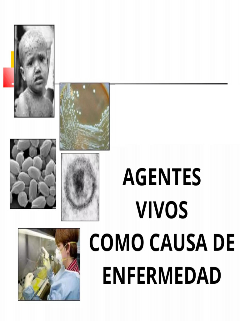 AGENTES VIVOS COMO CAUSA DE ENFERMEDAD_20240826_151331_0000 | PDF