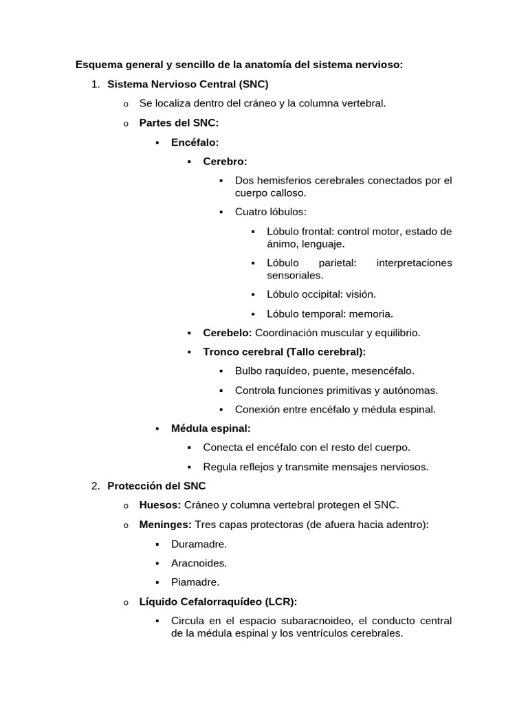 Esquema SNC | PDF | Sistema nervioso central | Cáncer