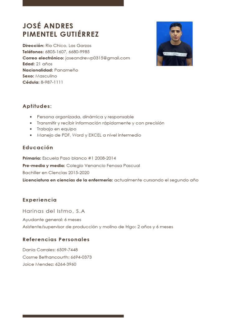 CV Jose Pimentel | PDF
