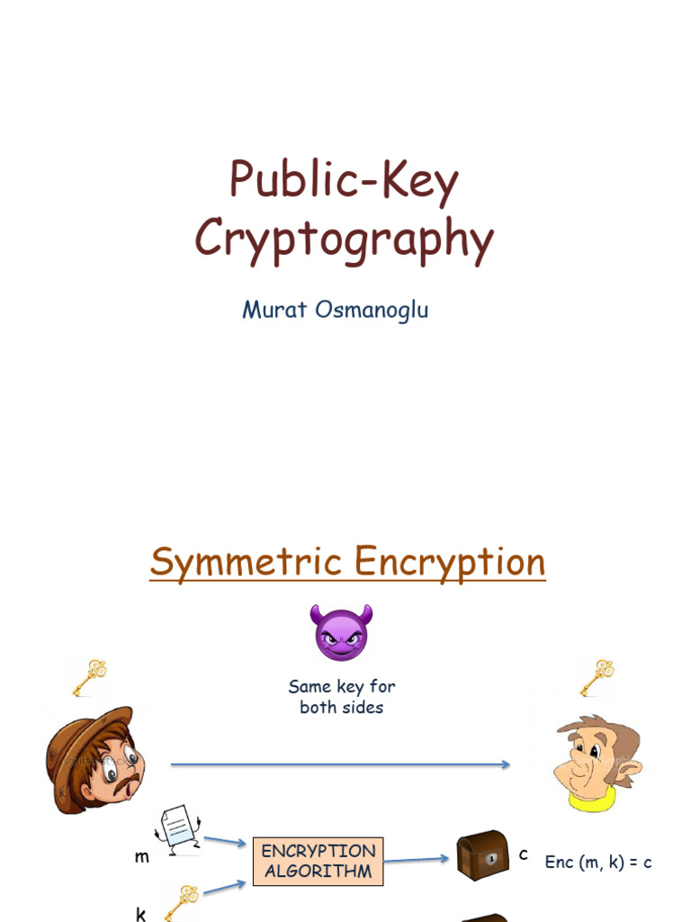 Public-Key Cryptography | PDF | Public Key Cryptography | Encryption