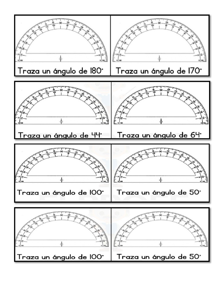 Uso Del Transportador | PDF