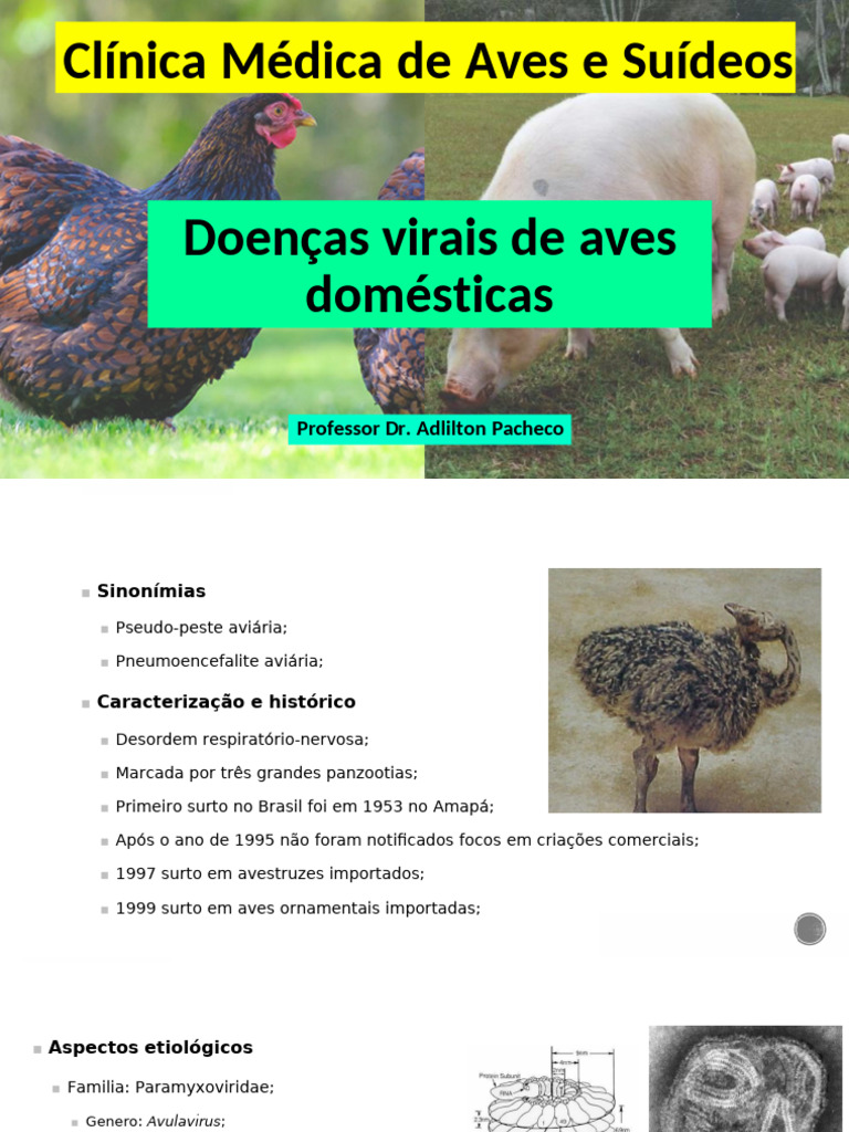 Doenças Virais em Aves Domésticas: Guia Completo | PDF | Vírus | Gripe