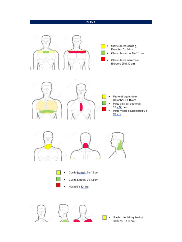 Tattoo Web Tab - XLSX - Zona Cuerpo y Dimensiones | PDF
