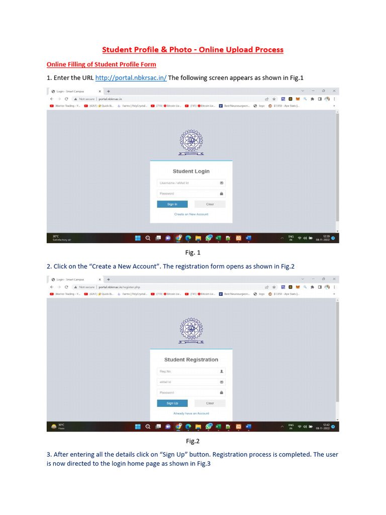 Student Profile Registration Process | PDF