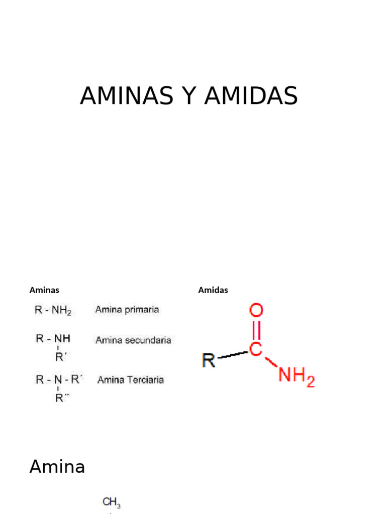 Aminas y Amidas | PDF