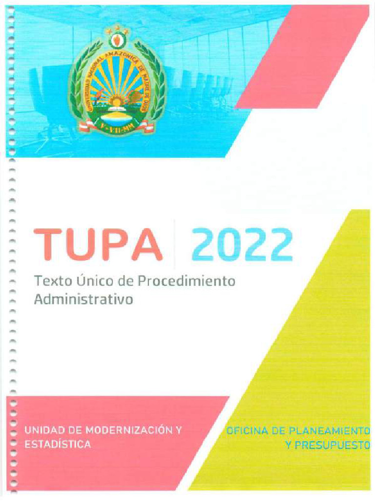 TUPA 2022 - Escaneado | PDF