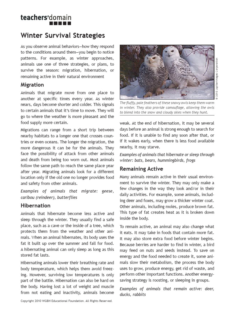 midlit10_doc_splwinterreading | PDF | Bird Migration | Zoology