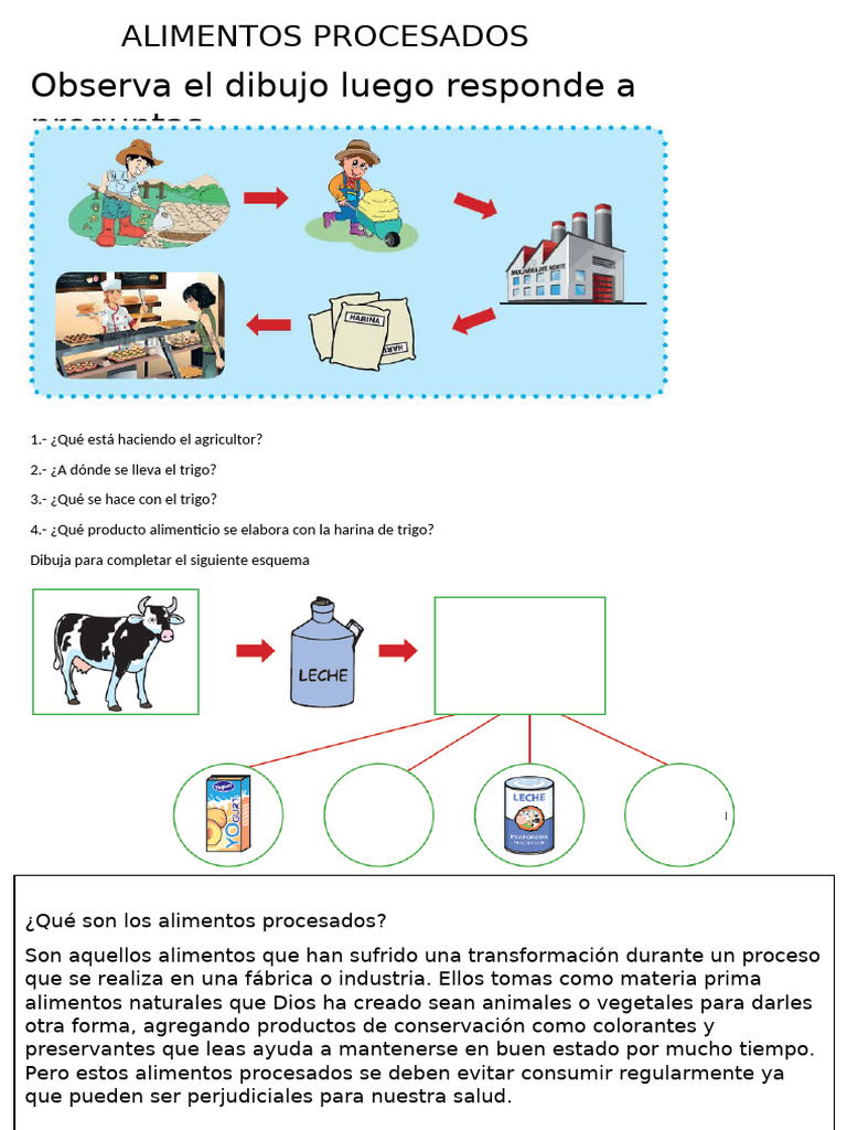 Alimentos Procesados | PDF
