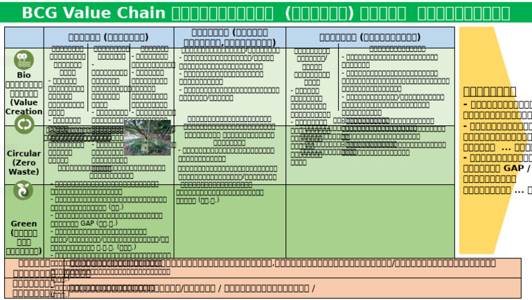BCG Value Chain ลำไย | PDF