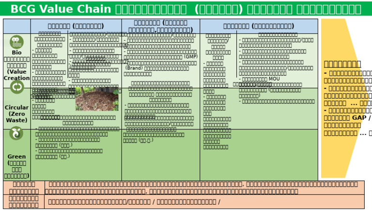 BCG Value Chain โคเนื้อ | PDF